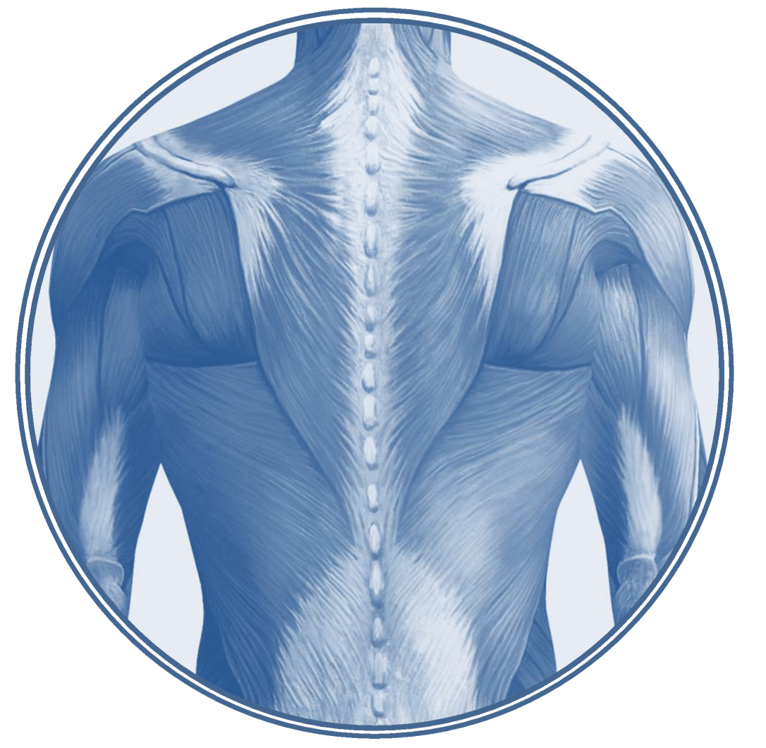 Atlas Registered Massage Therapy – Your Map to Wellness